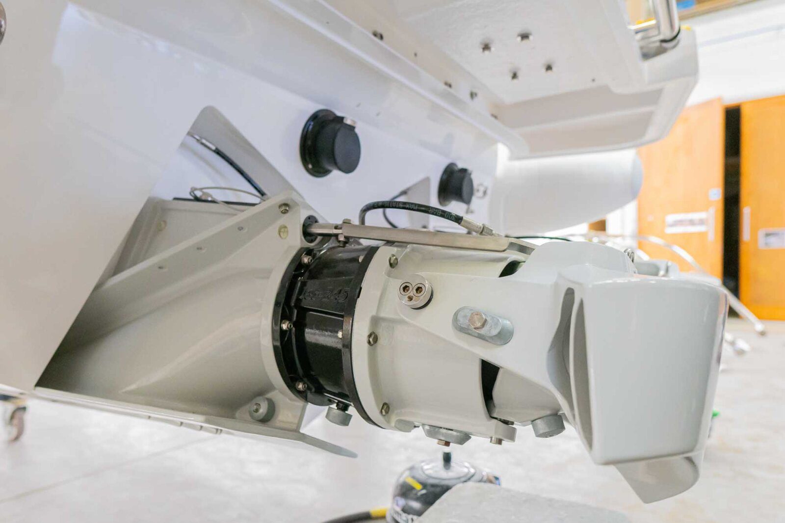 SCORPION RIBS - customisation as standard - Ancasta